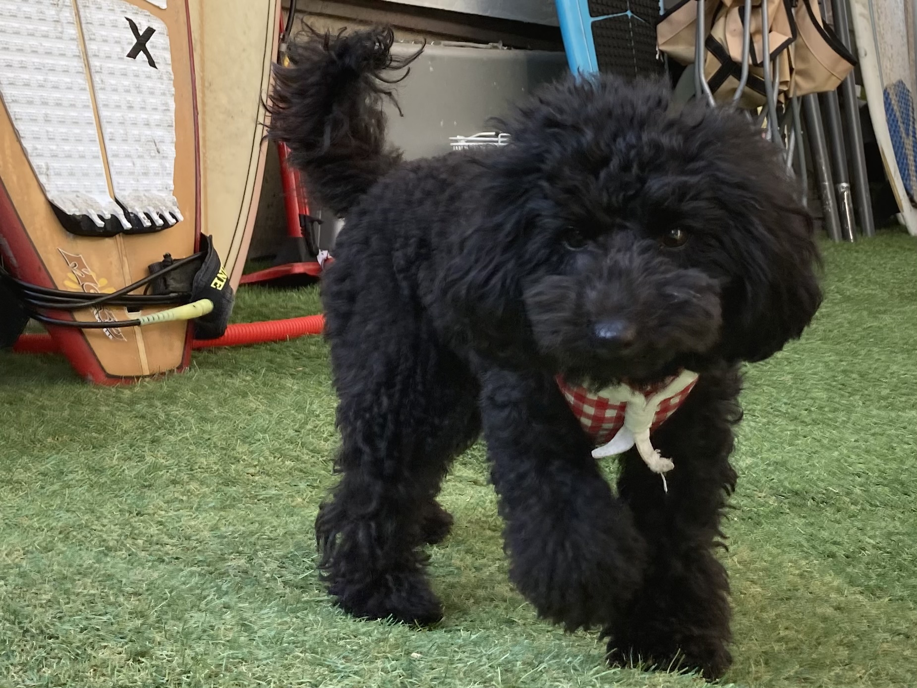 コツコツ… – iN KRABBiT